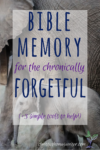 Bible memory for the chronically forgetful - Little Shoots, Deep Roots