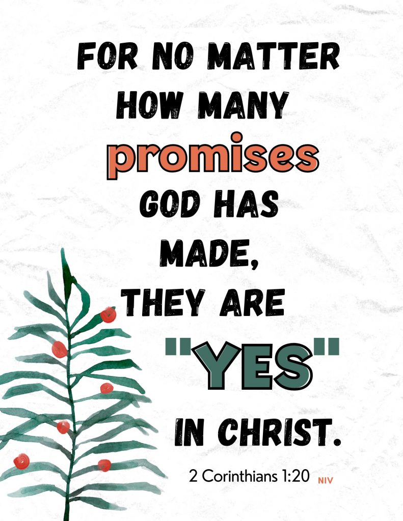 All God's Promises (Family Bible Study) - Little Shoots, Deep Roots