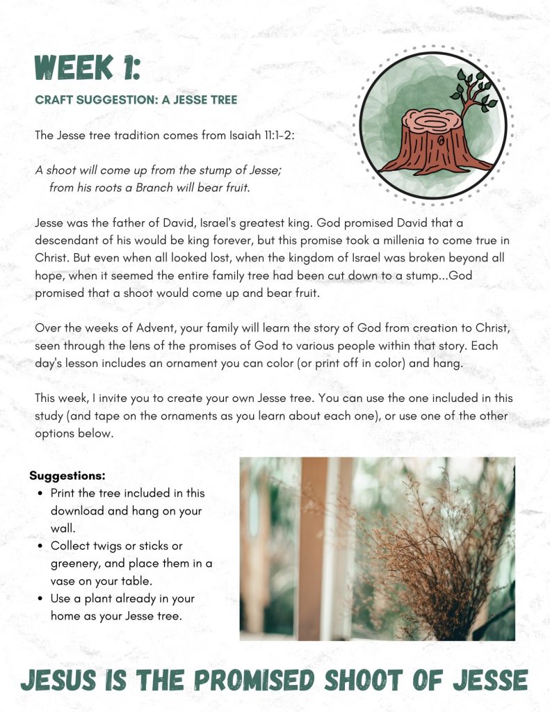 All God's Promises (Family Bible Study) - Little Shoots, Deep Roots