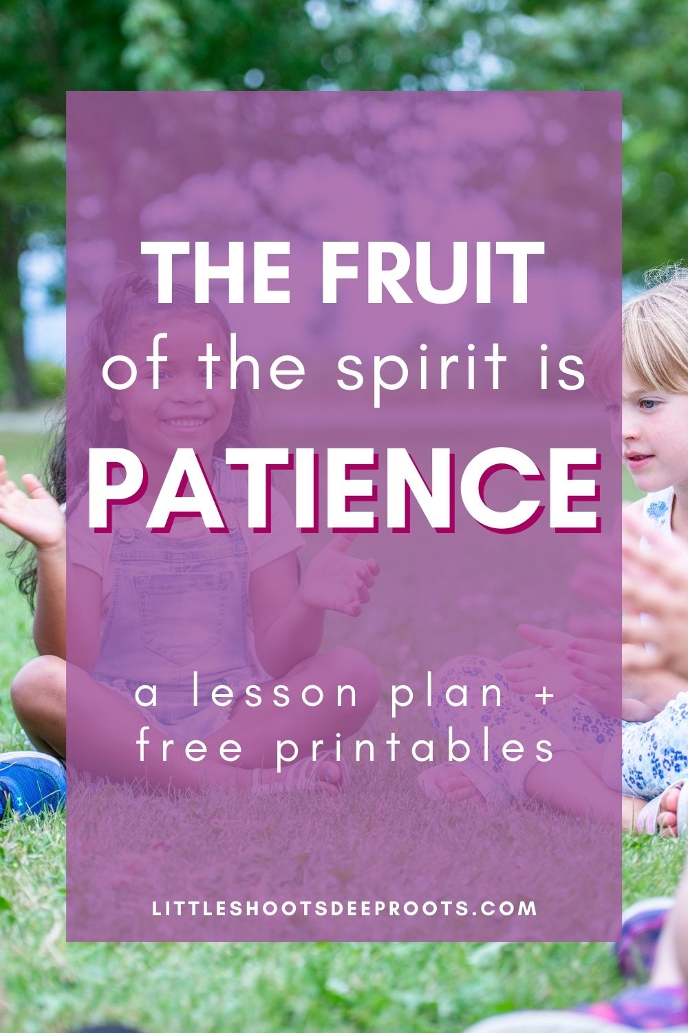Fruit of the Spirit PATIENCE: devotional and lesson plan